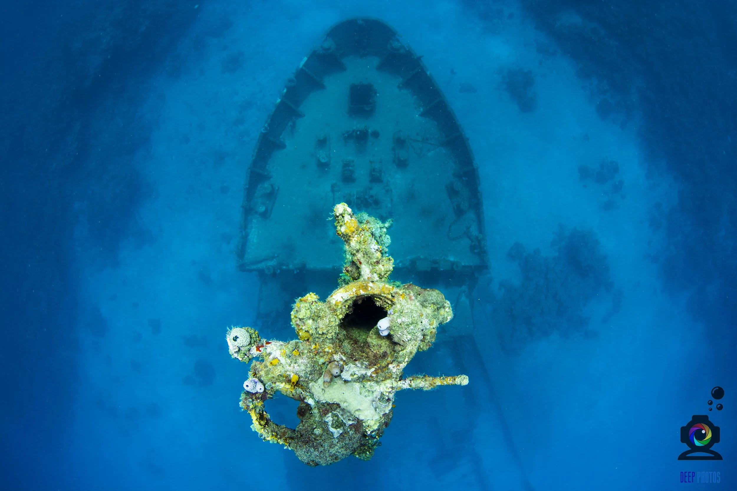 Roatan Divers | The best in boutique style scuba diving on Roatan