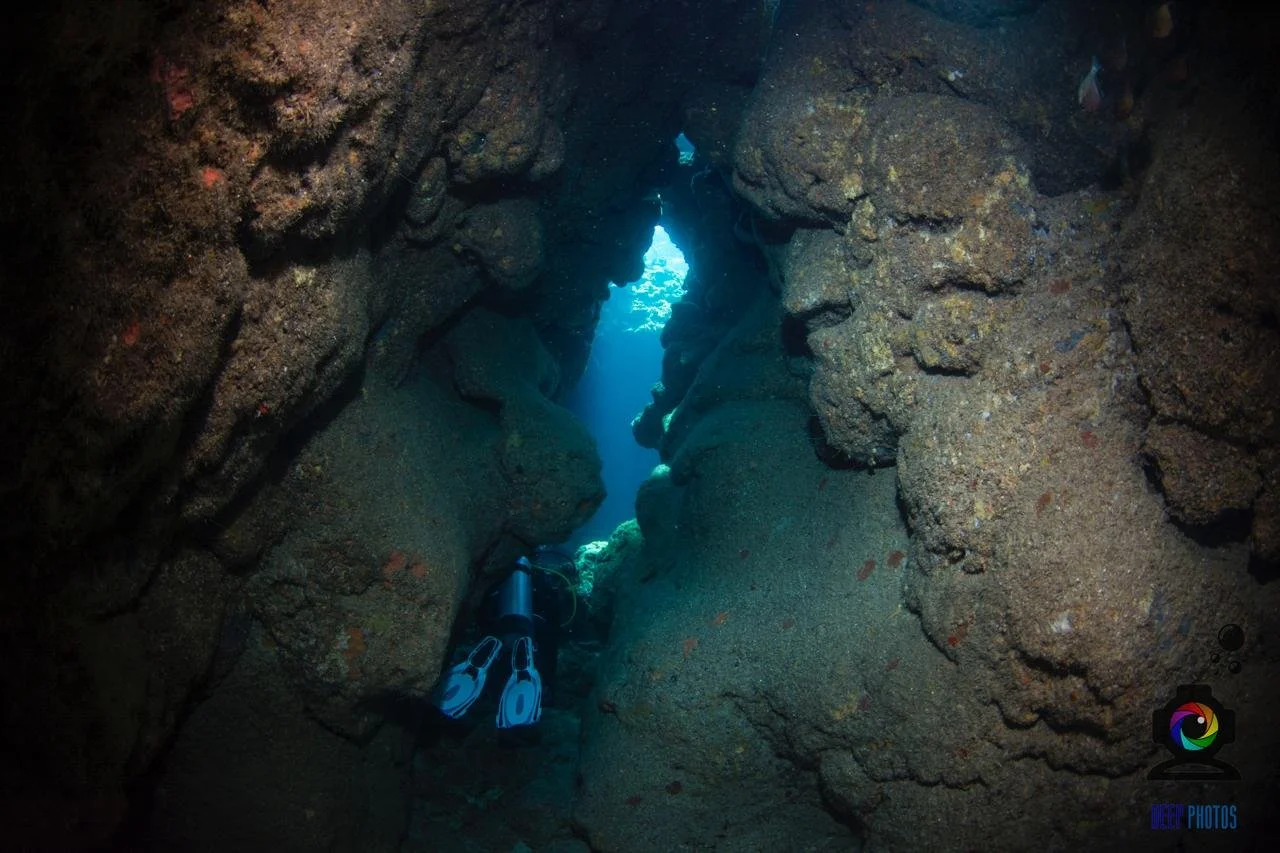 The Best Dive Sites in Roatan | Roatan Divers