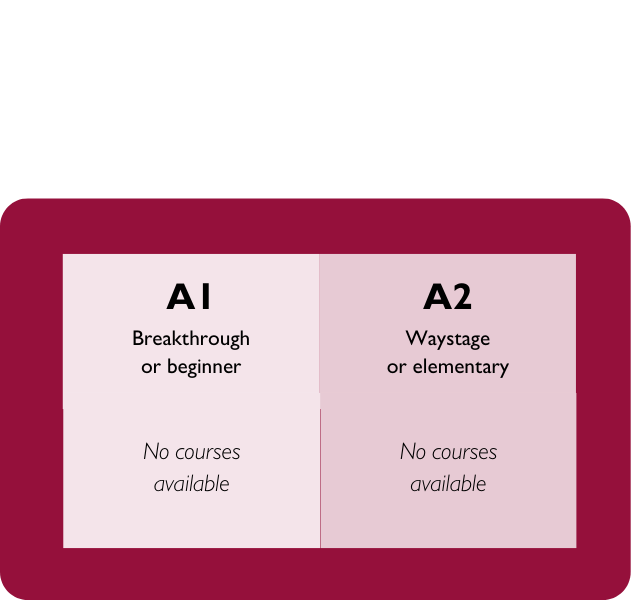 Unsure about which course and / or level you are at? linguisttraining.com
