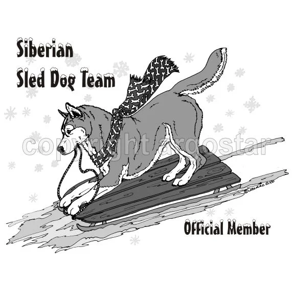 Dog Sled Team Drawing
