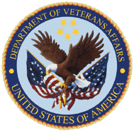 SDV International | Government Consulting | Washington DC