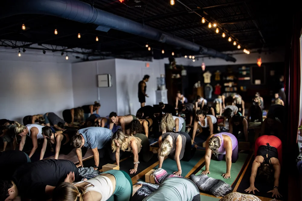 Yoga Shala Integrating Creative and Intelligent Sequencing of Yoga via ...