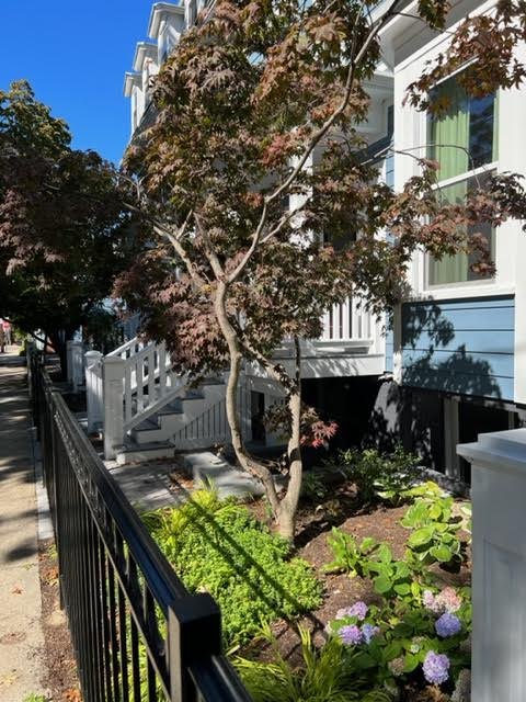 Photo Gallery — Cambridge Zen Center