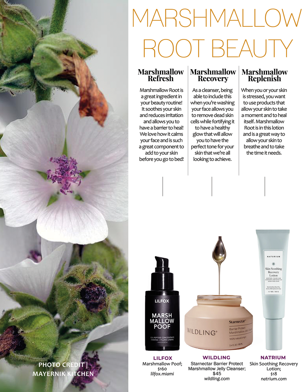 MARSHMALLOW ROOT BEAUTY — Athleisure Mag™ | Athleisure Culture