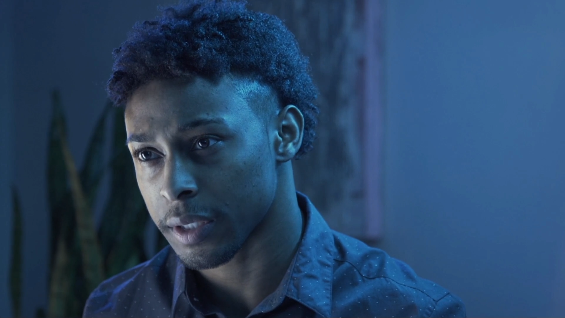 About — Showreels NYC