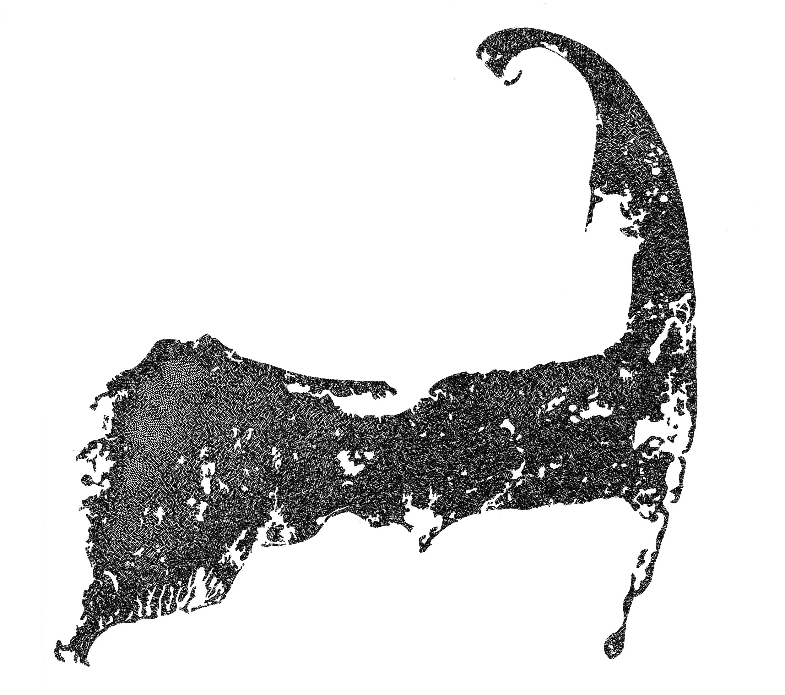 Lucy Catherine Rollins