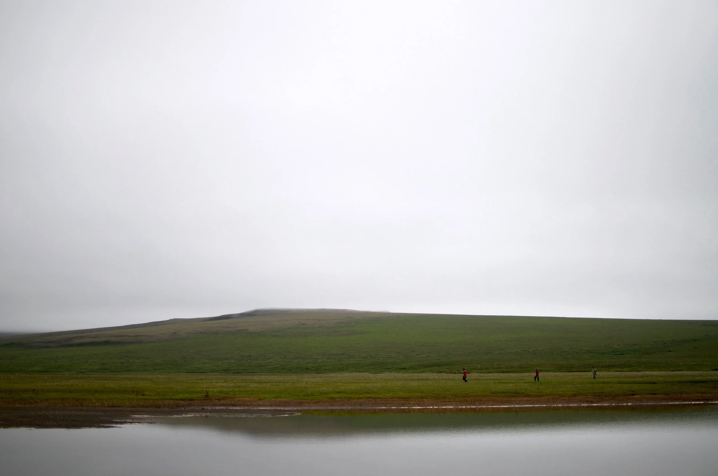 Home — Caroline Lester