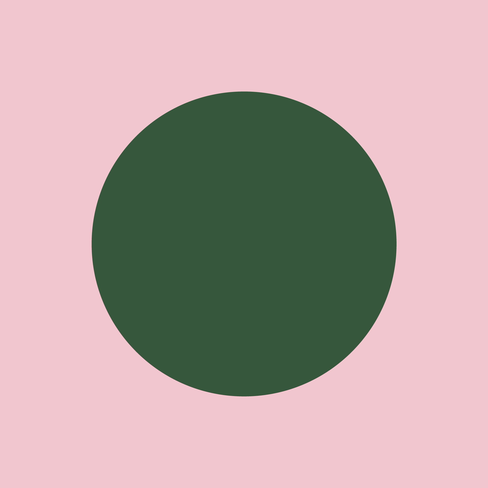 ENCOMPASS-ID: Story, Image, Design: Your Complete Picture
