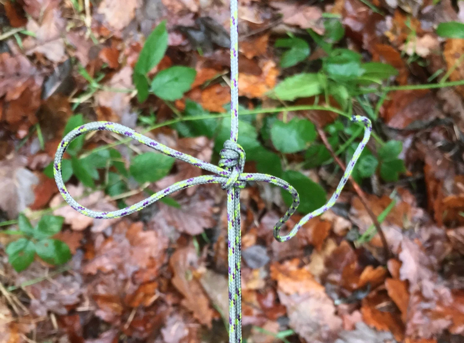 The Adjustable (slippery) Guyline Hitch, stay flexible! — Howl ...