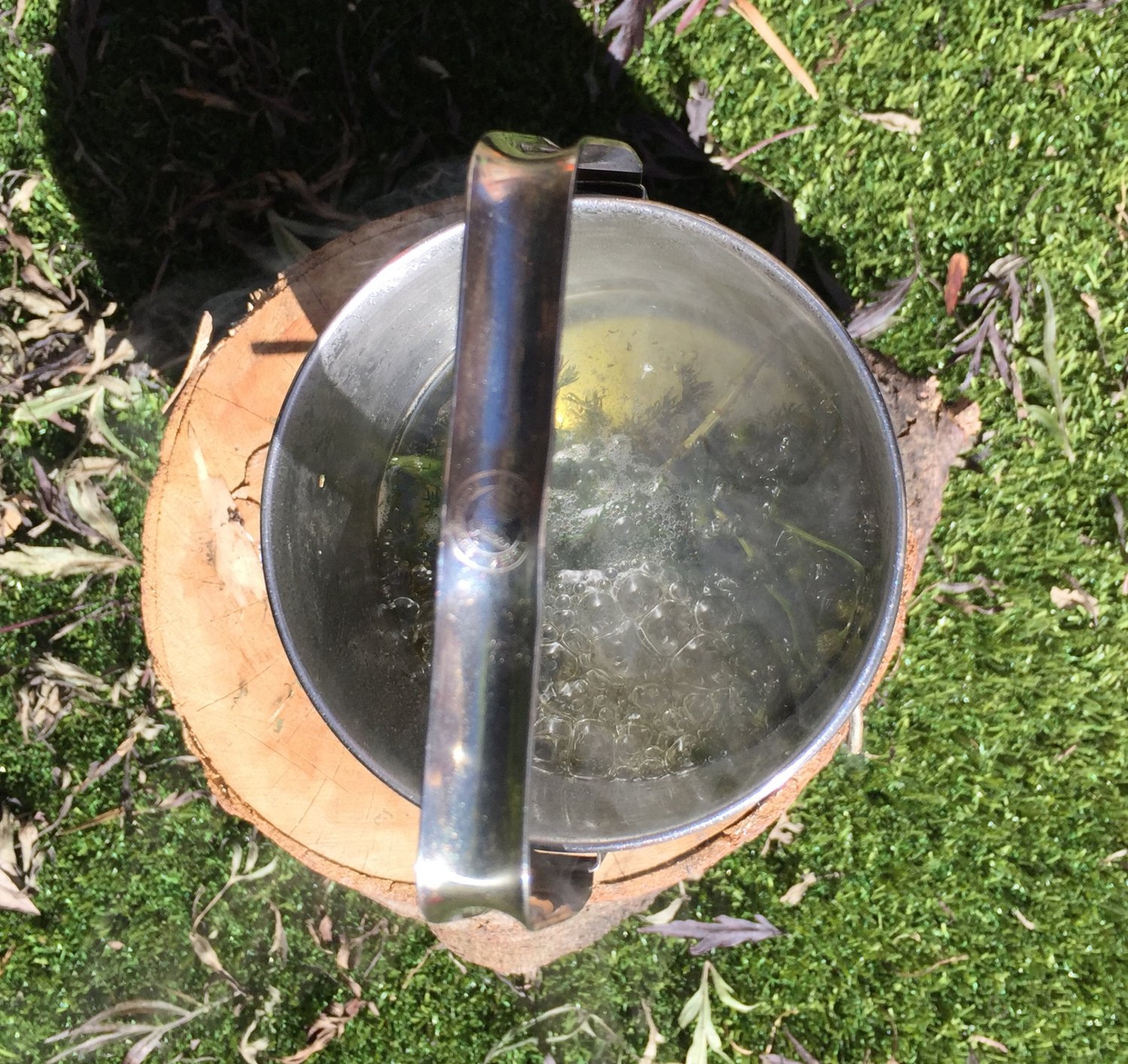 The Pineapple Flavoured Weed — Howl Bushcraft