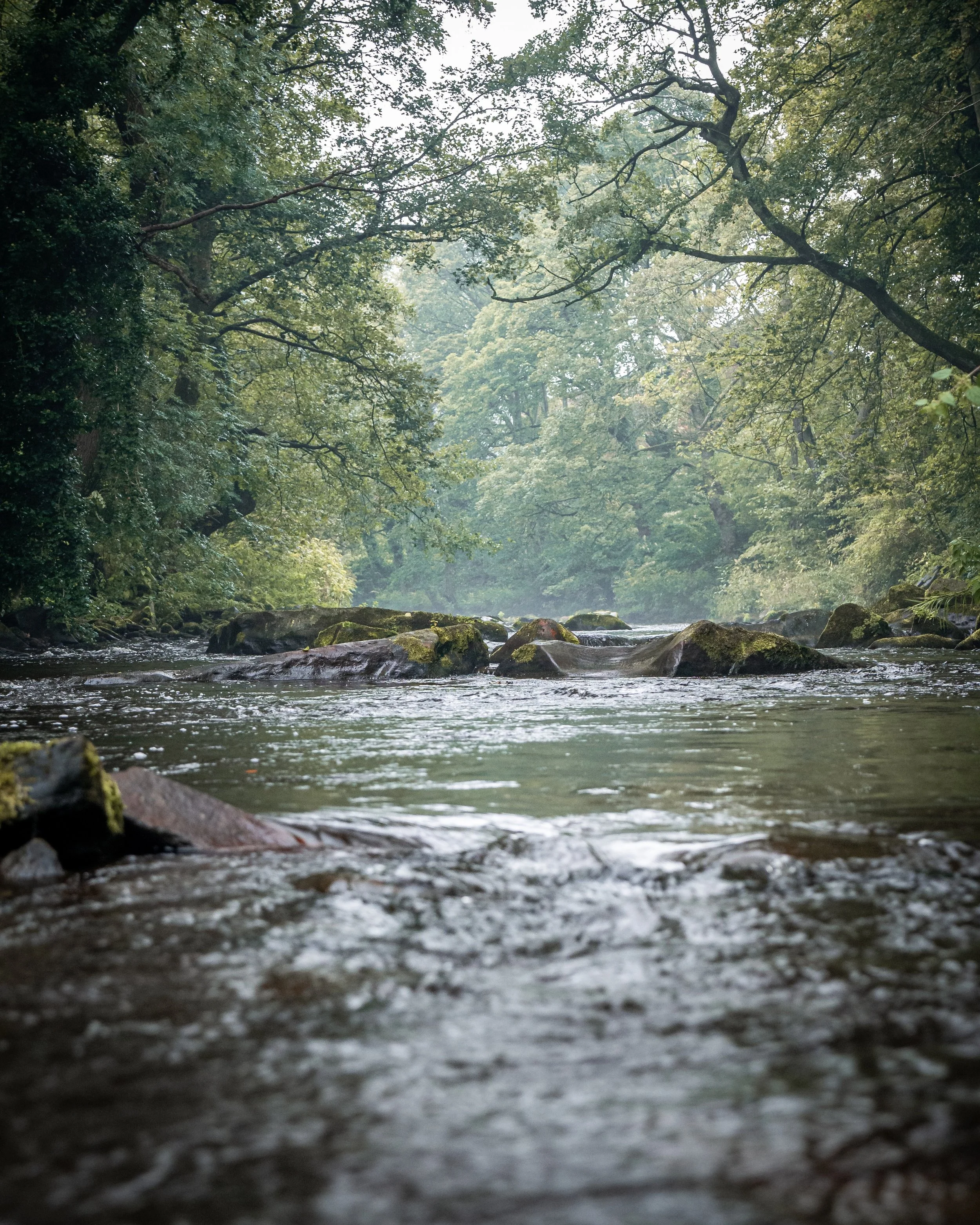 Guided 5-Day Canoe Journey on Scotland’s River Tay | Howl Bushcraft ...