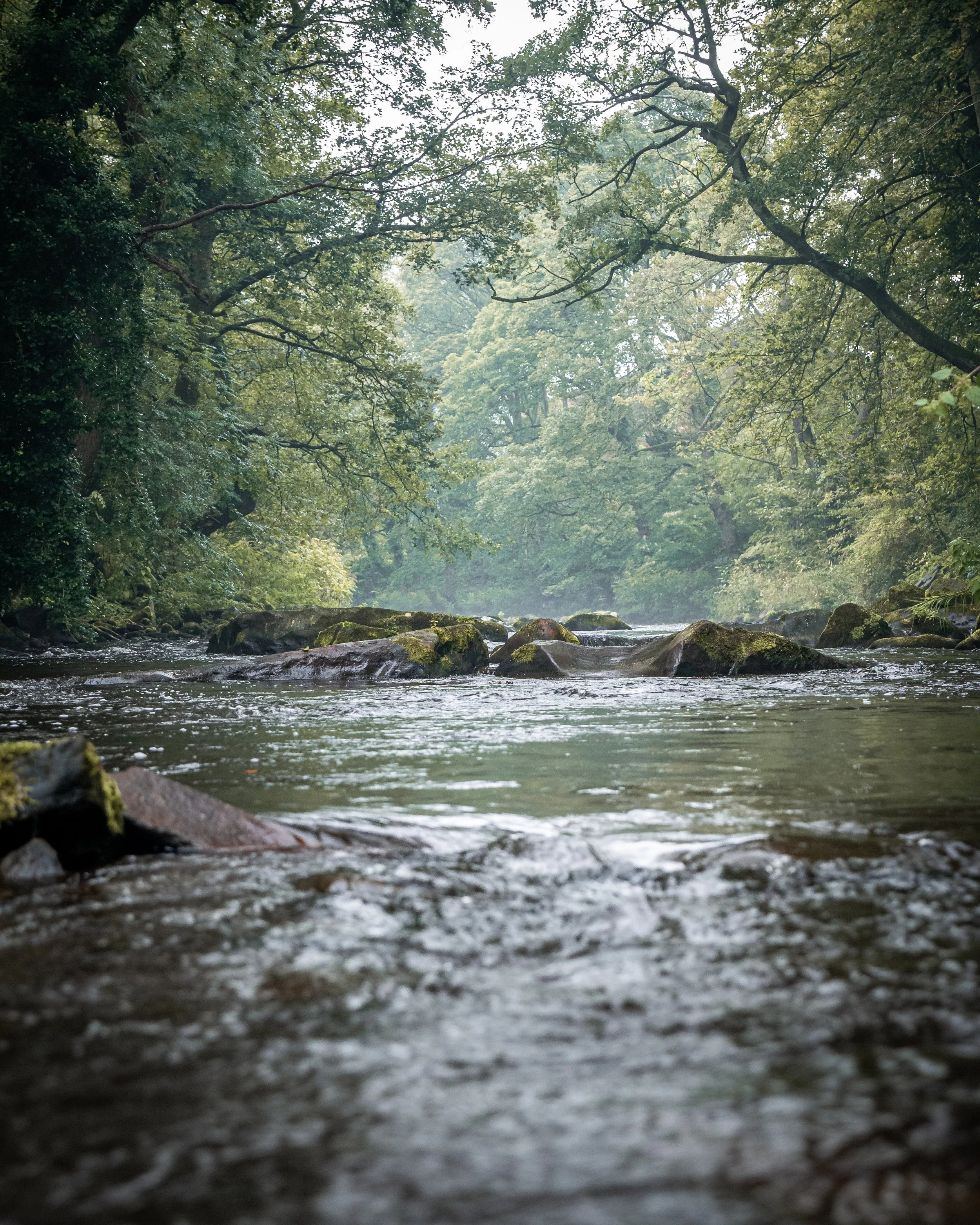 Guided 5-Day Canoe Journey on Scotland’s River Tay | Howl Bushcraft ...