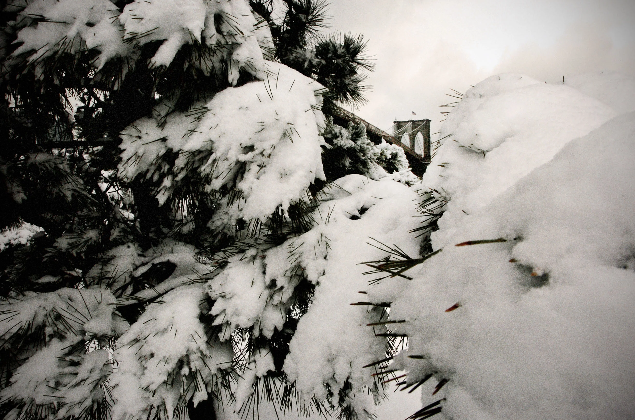 Jason Kempin Photography
