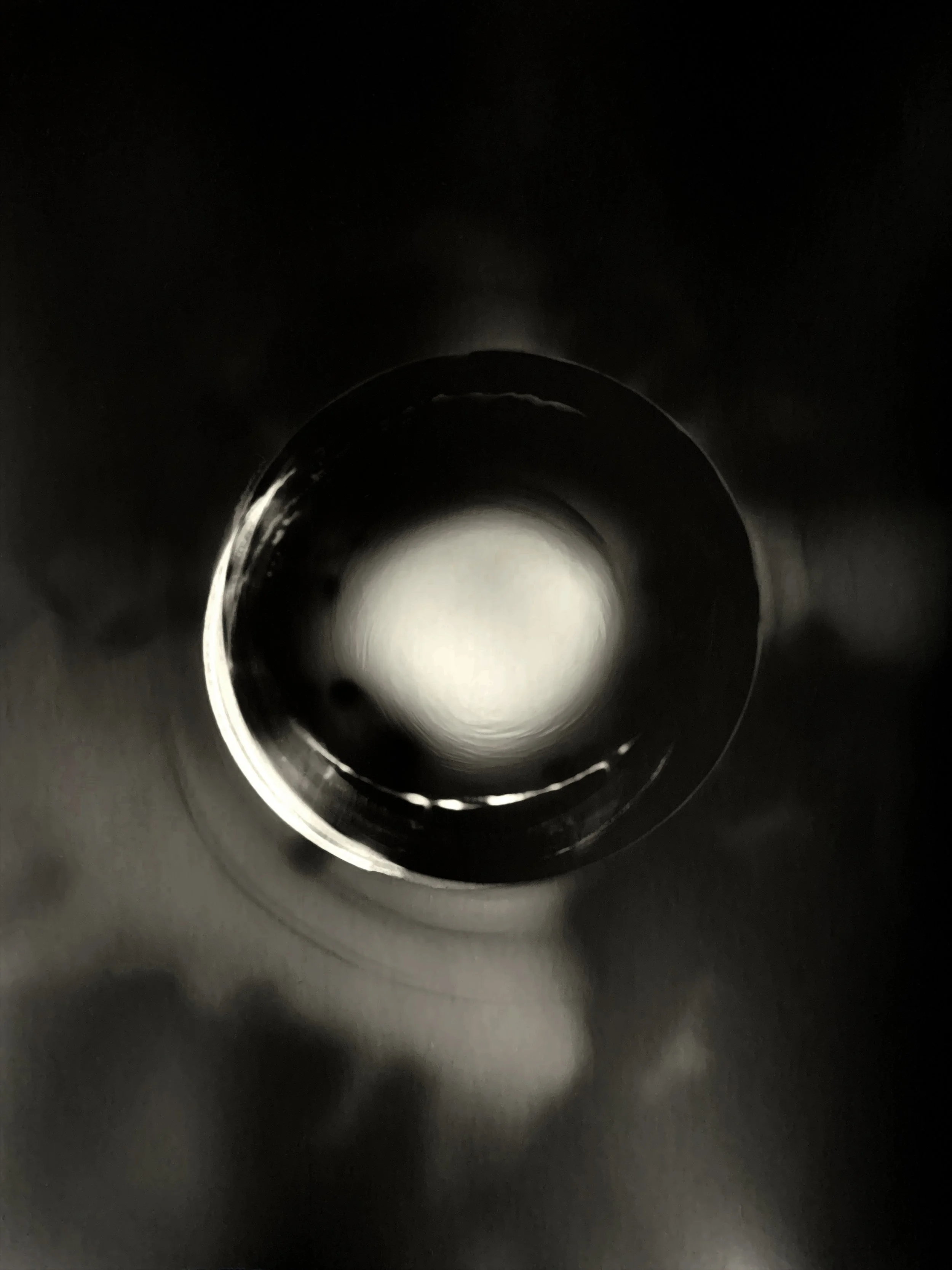 Unique gelatin silver photograms — DEBORA FRANCIS