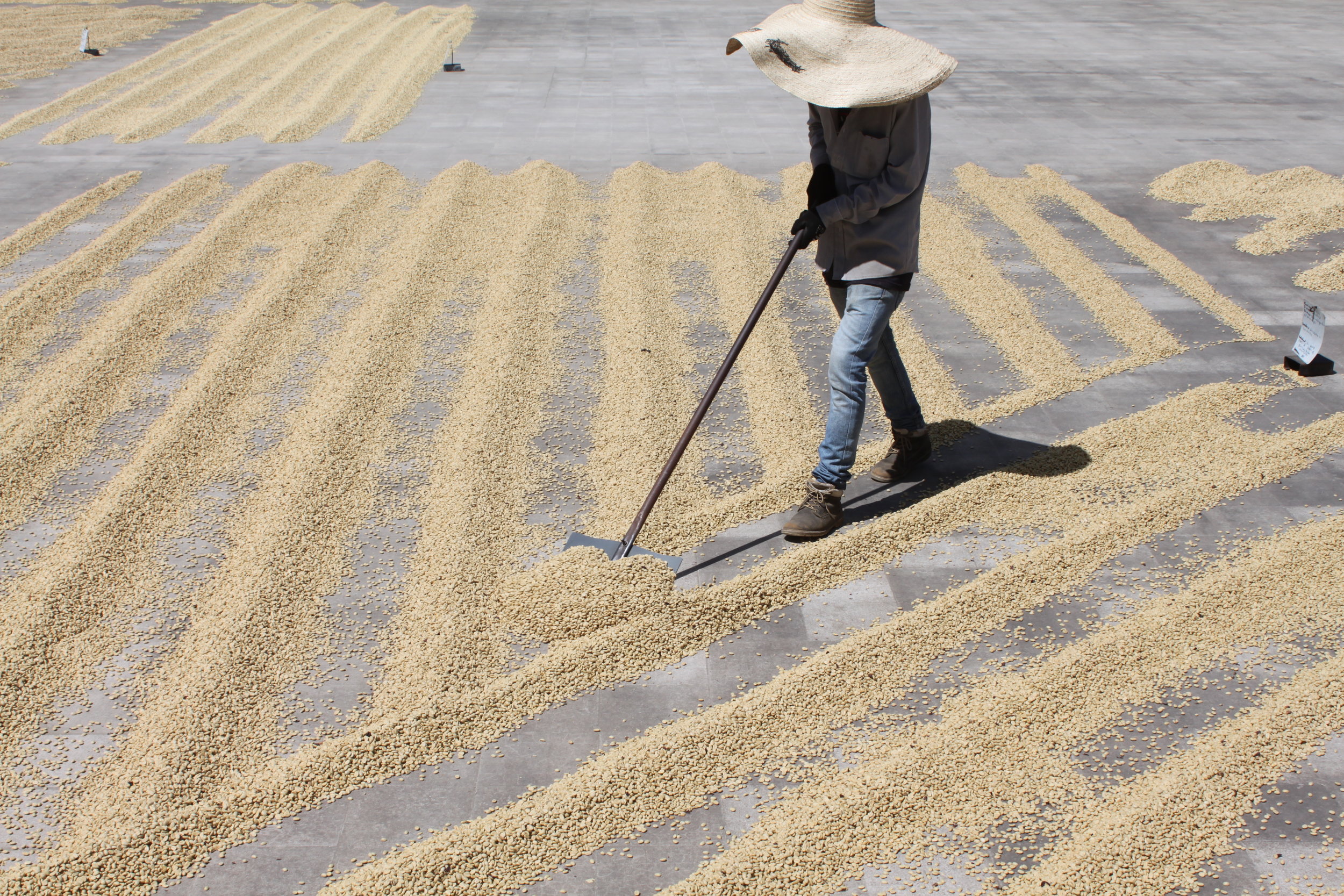 Single origin coffees, roasted in Dorset — Beanpress Coffee Co.