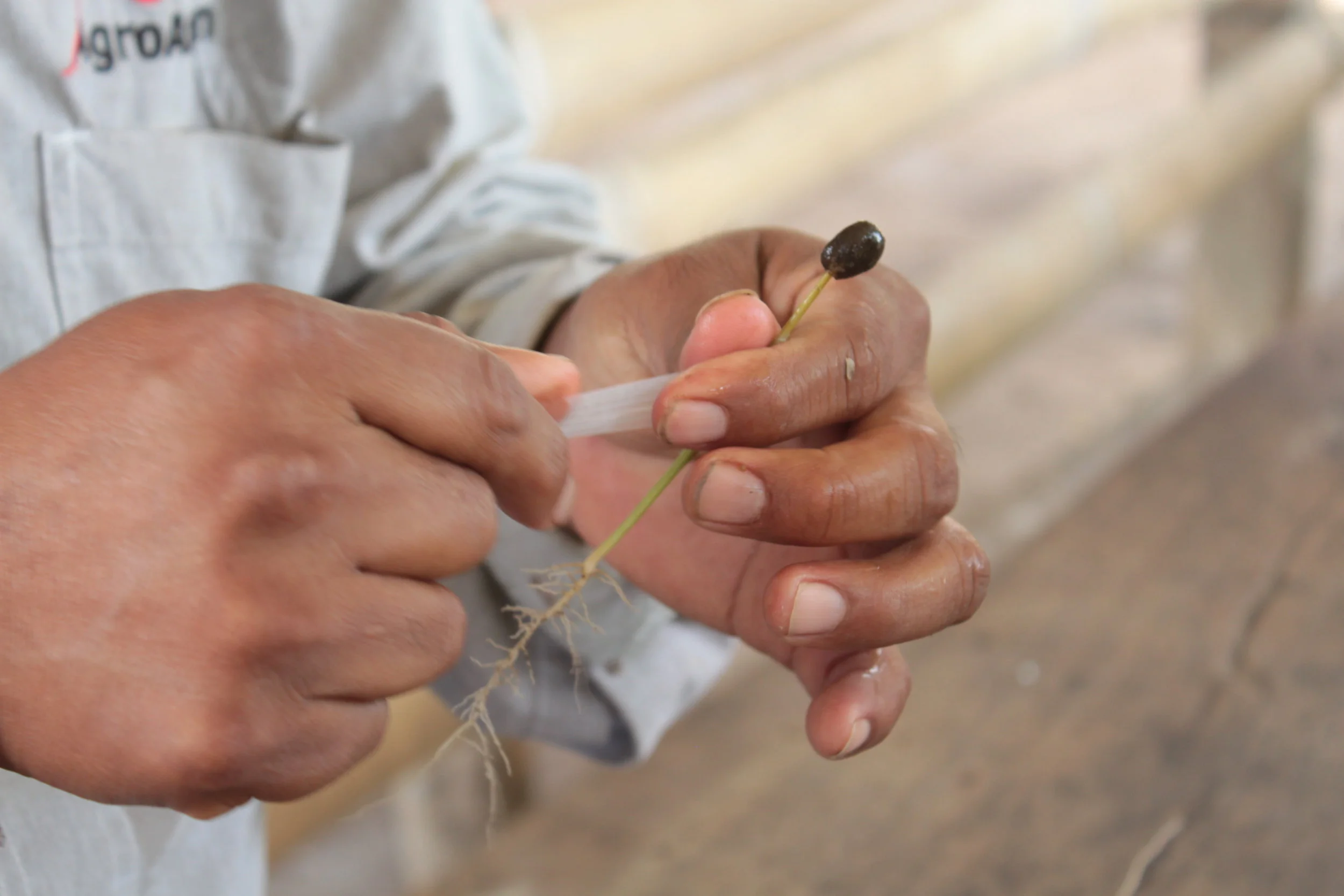 Single origin coffees, roasted in Dorset — Beanpress Coffee Co.