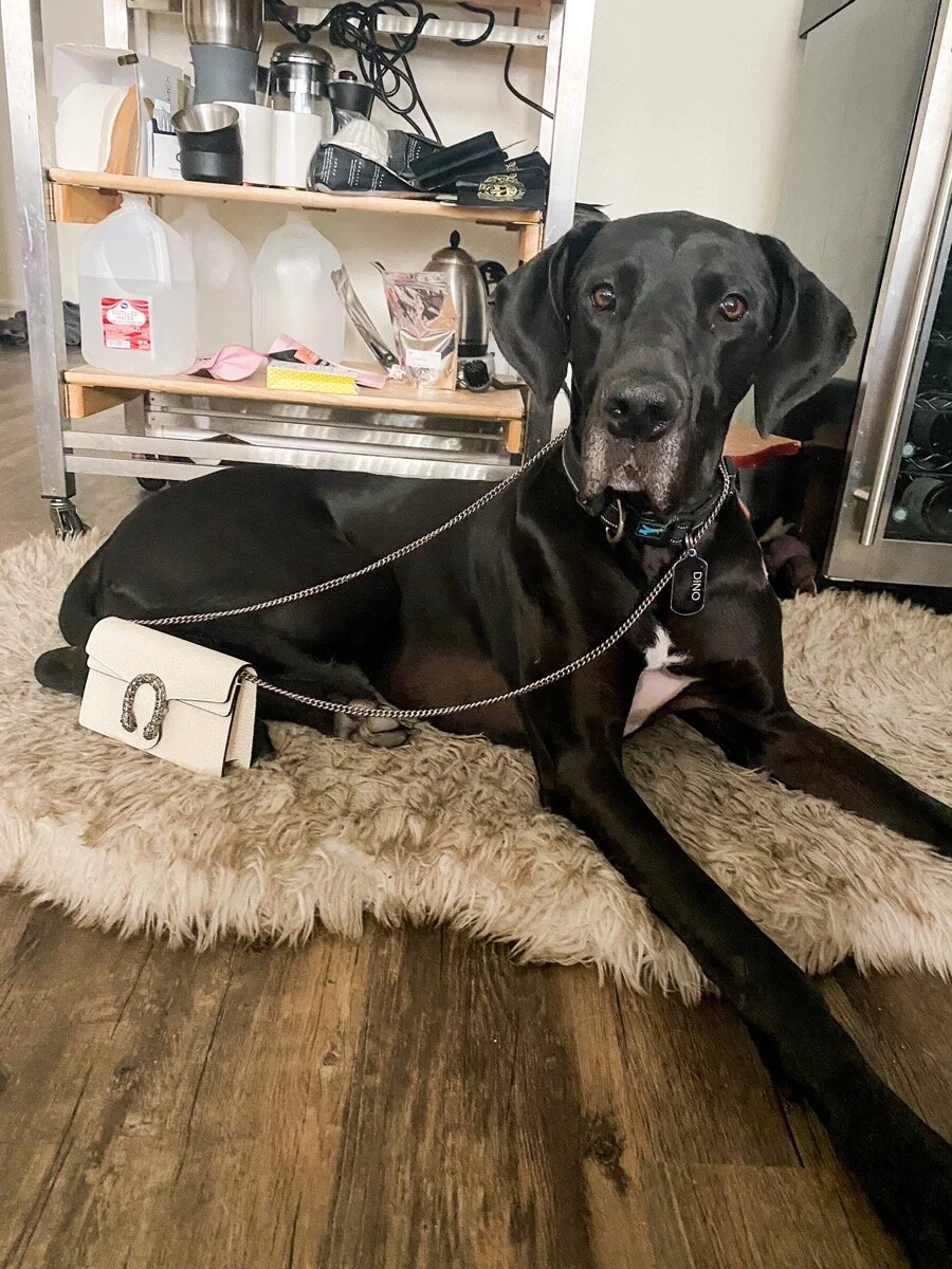 Gucci Dionysus Review | LMents of Style | Fashion & Lifestyle Blog