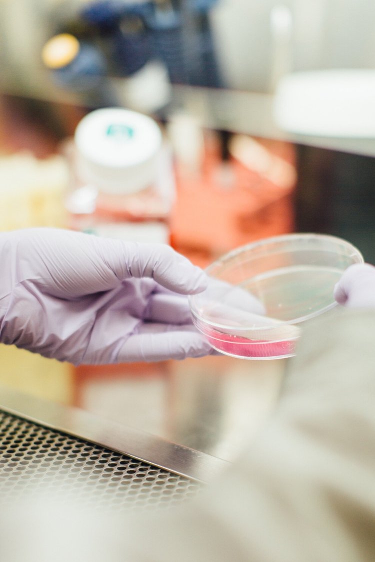 Nicola Pilon Naturopath & Acupuncturist - Home