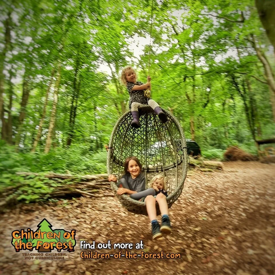 Children of the Forest -Home