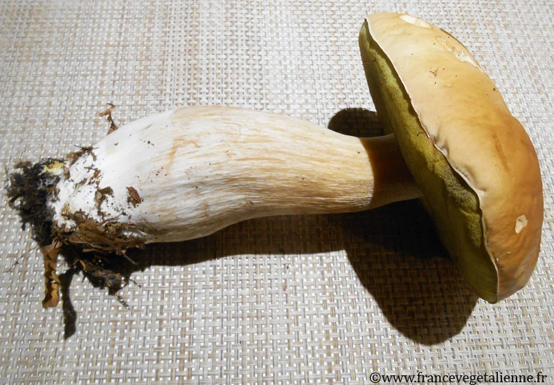 Cèpes à la bordelaise (végétalien, vegan) — France vegetalienne