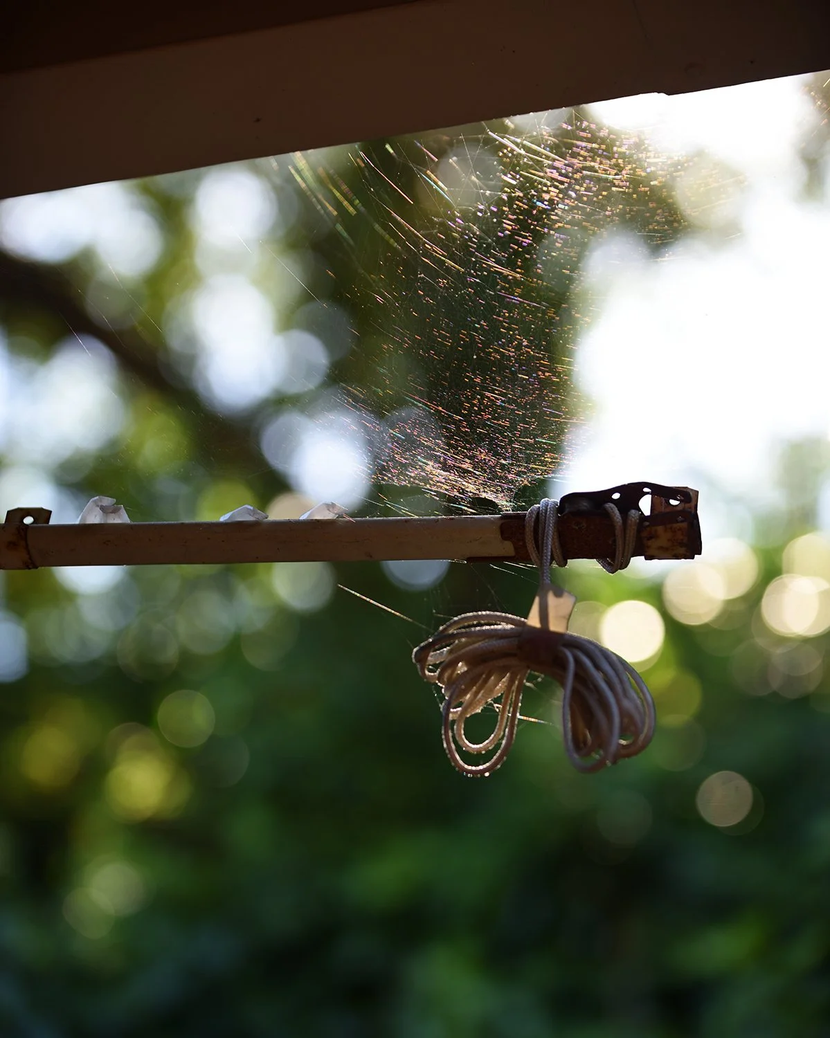 Matthew Finley Fine Art Photography