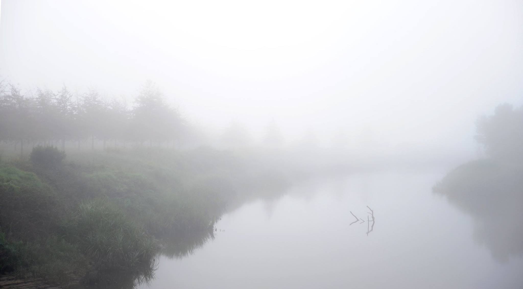 GALLERY — HEMELSBREED