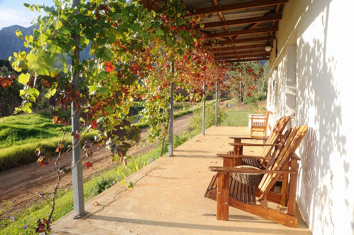 Olienhout cottage — HEMELSBREED