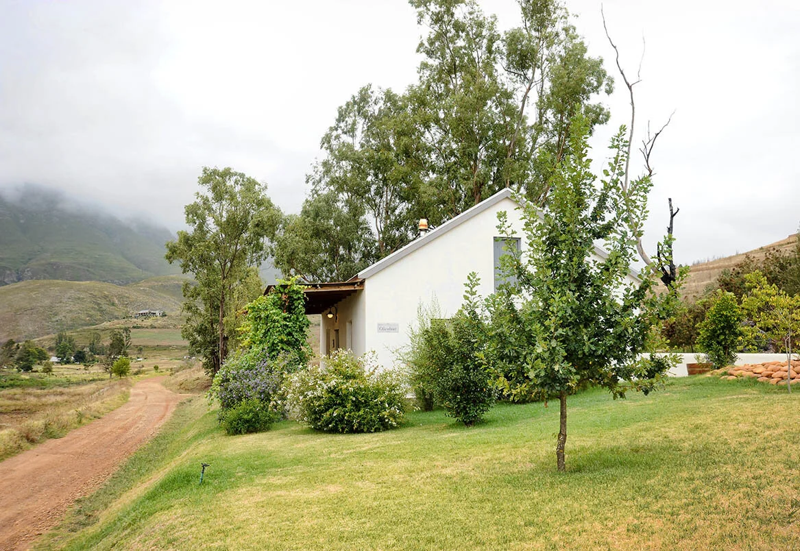Olienhout cottage — HEMELSBREED