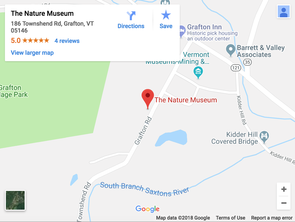 Visit The Nature Museum — The Nature Museum
