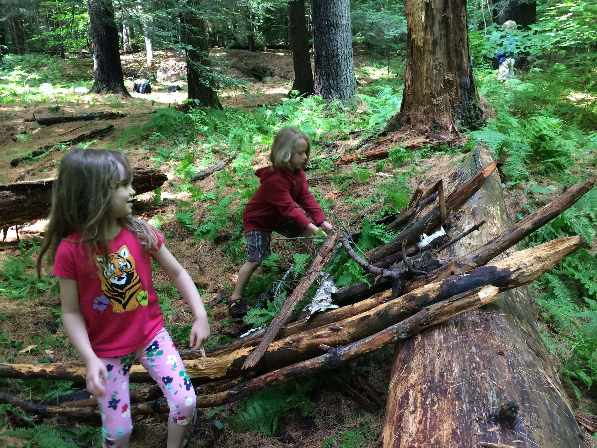 Children & Family Program Gallery — The Nature Museum
