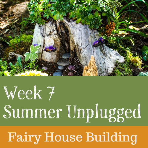 Summer Unplugged: Free Kids Programs — The Nature Museum