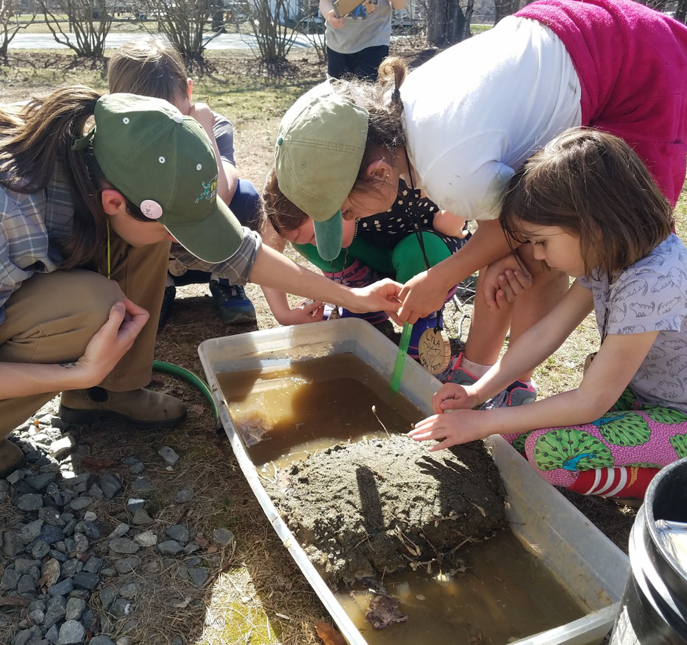 Summer Camps — The Nature Museum