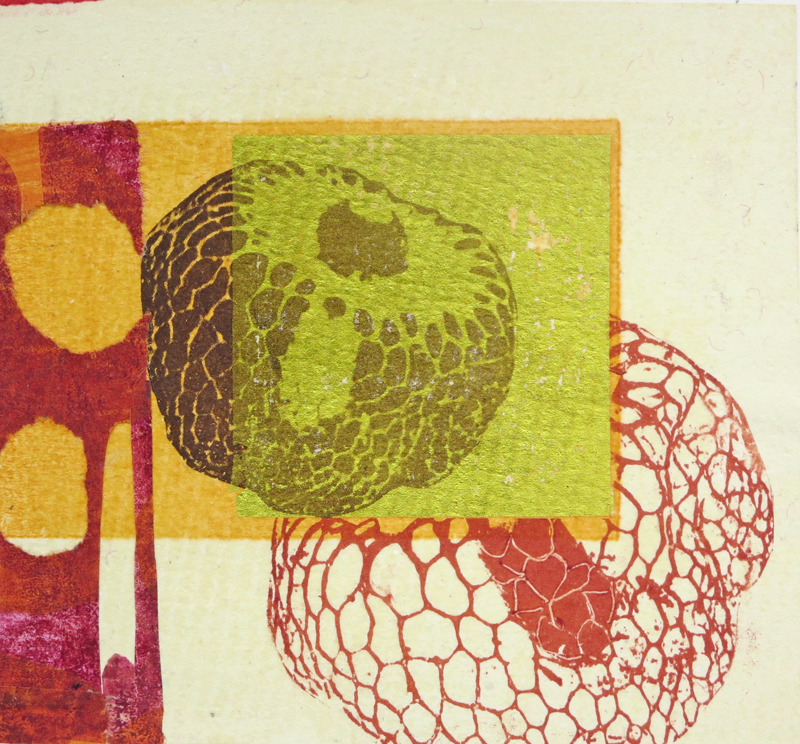 SANDRA CARDILLO — gallery twist