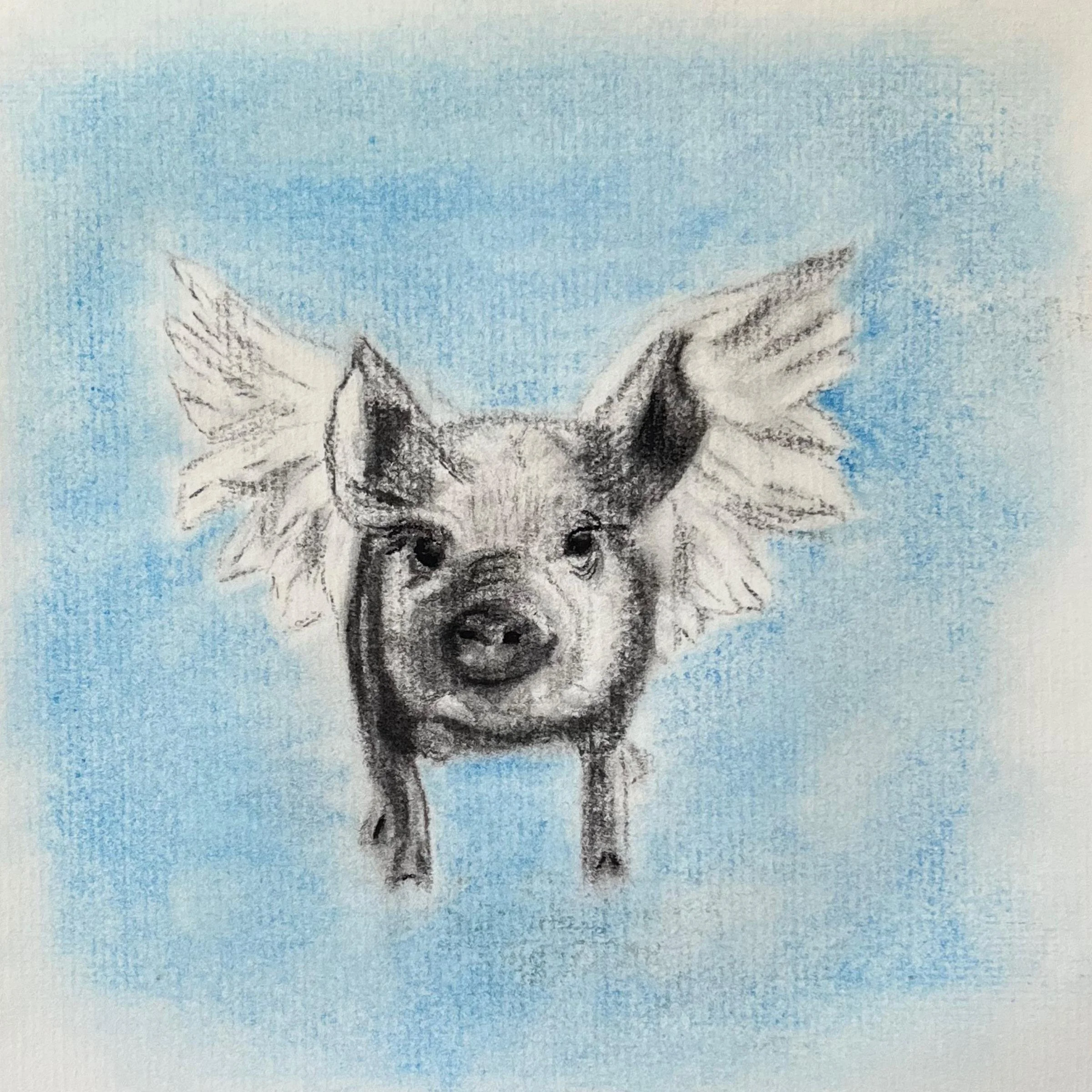 Emer McCourt FOF 2022 — gallery twist