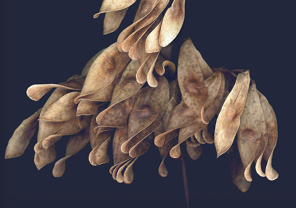 Marie Peters PAIRINGS2023 — gallery twist