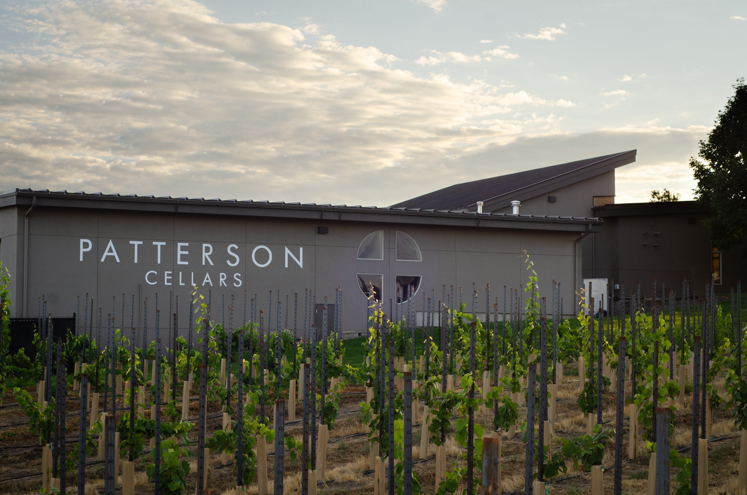 Patterson Cellars