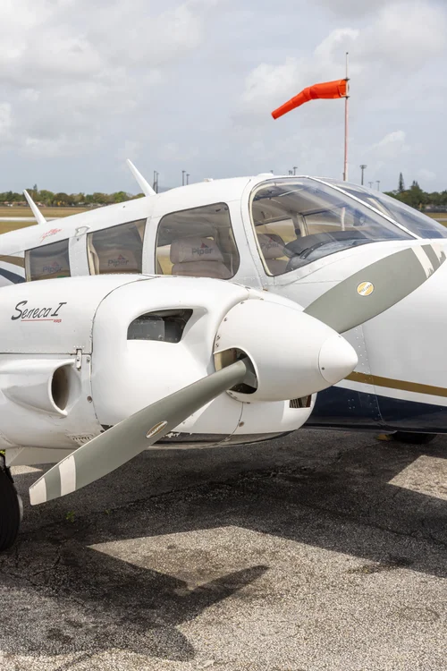 Multi-Engine Training