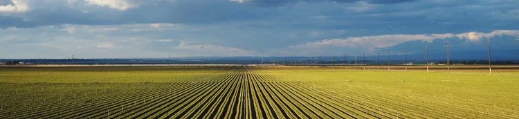 Advocates for Clean Water Fight For Environmental Justice as Pollution ...