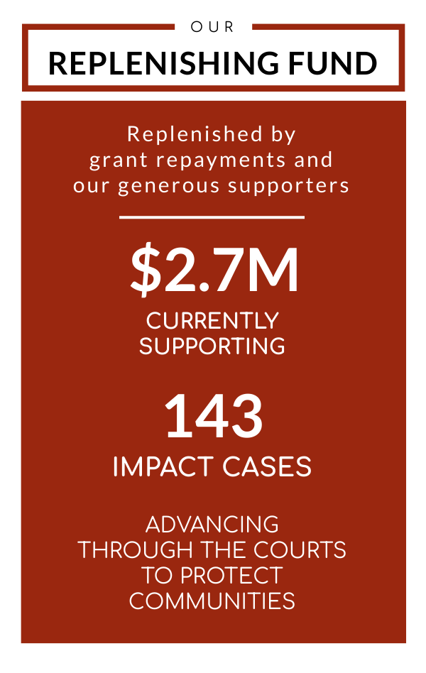 About Our Grants — Impact Fund