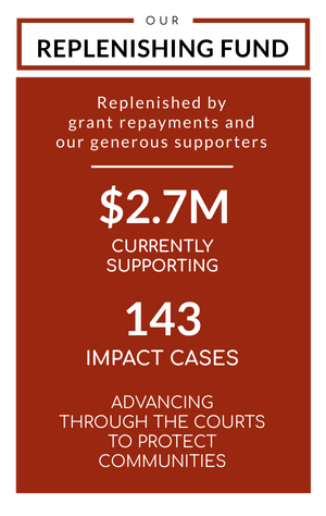 About Our Grants — Impact Fund