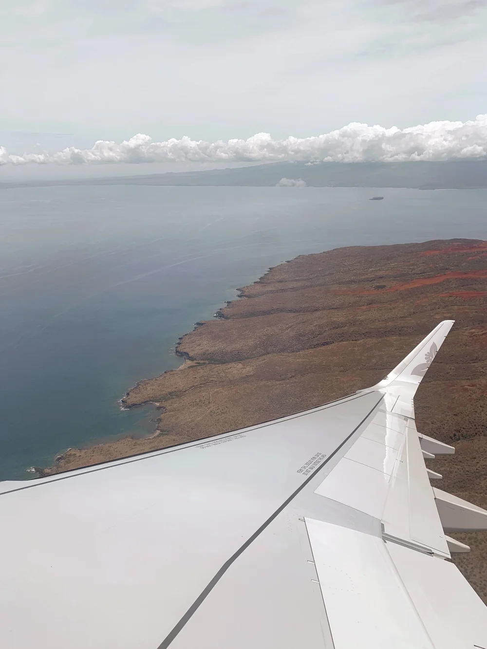Maui Packing Guide and Things To Do — alex hood