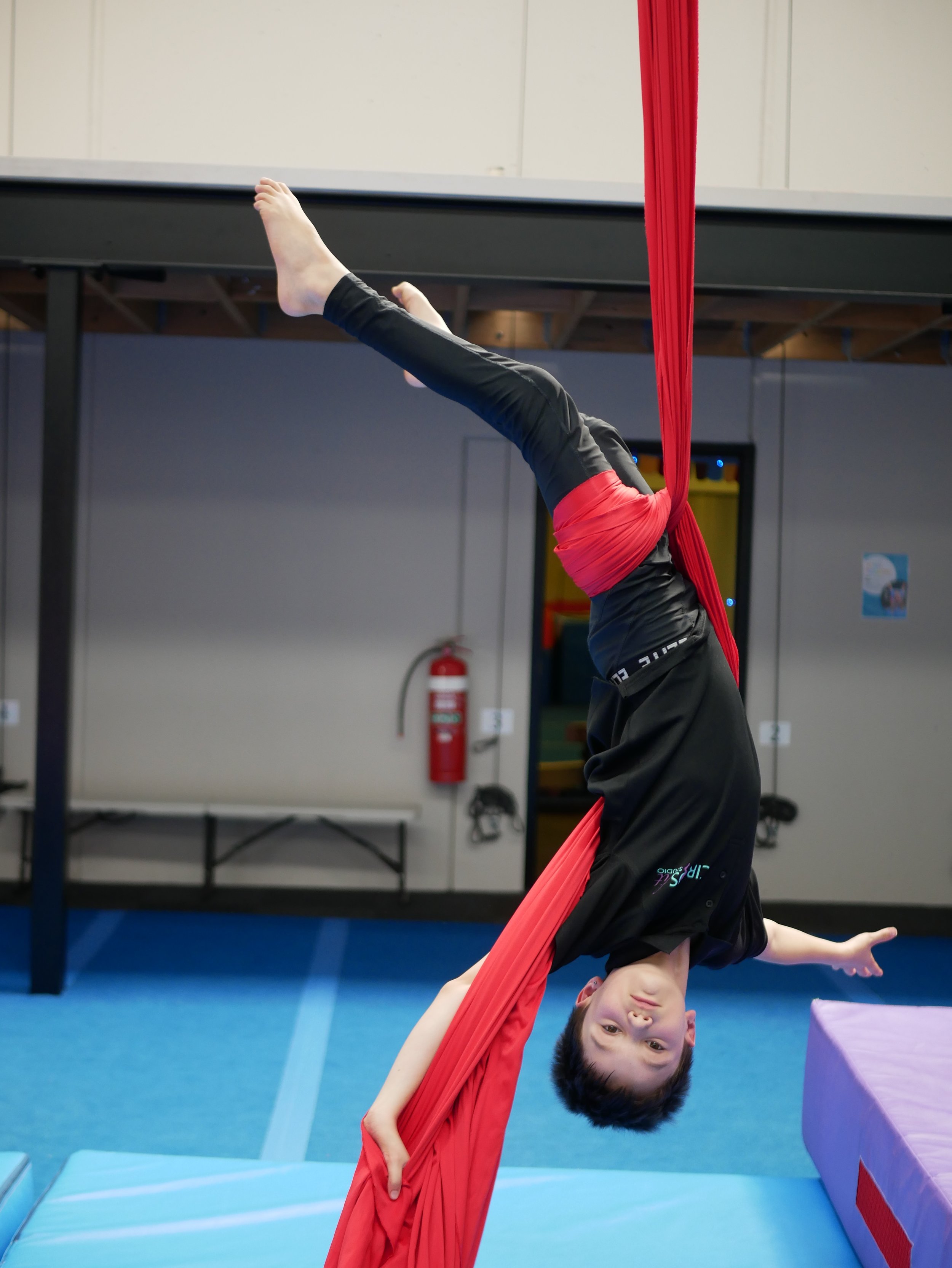 Circus Fit Studio Holiday Program: Summer, Spring, Autumn, Winter BOOK ...