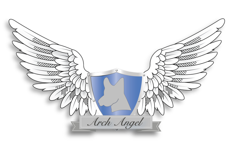 K-9 Caring Angels of Northern Virginia