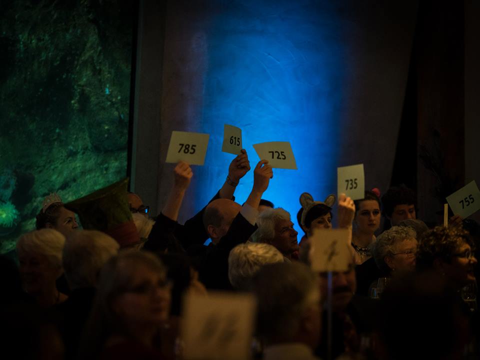 Auction — Seattle Pro Musica