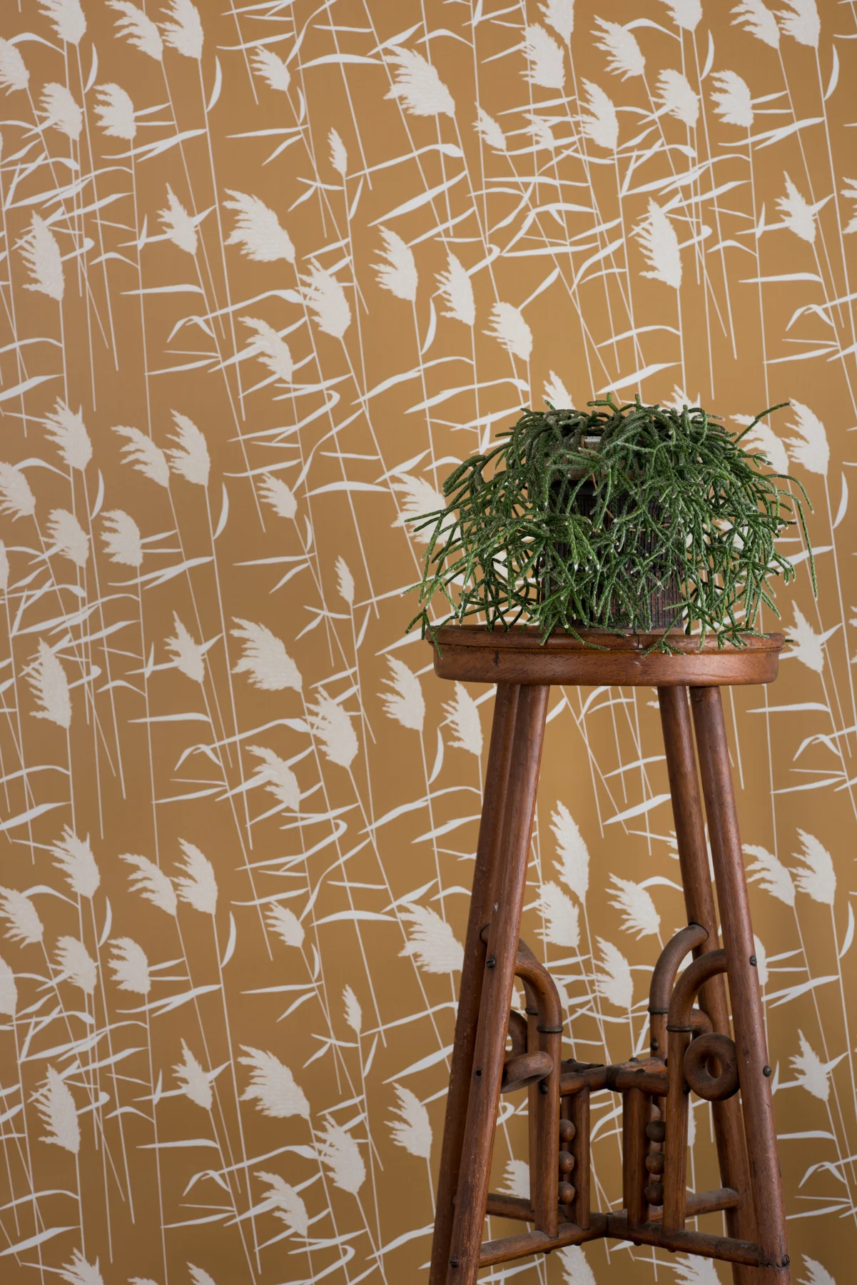 Kate Golding Canadian Wallpaper and Surface Pattern Design