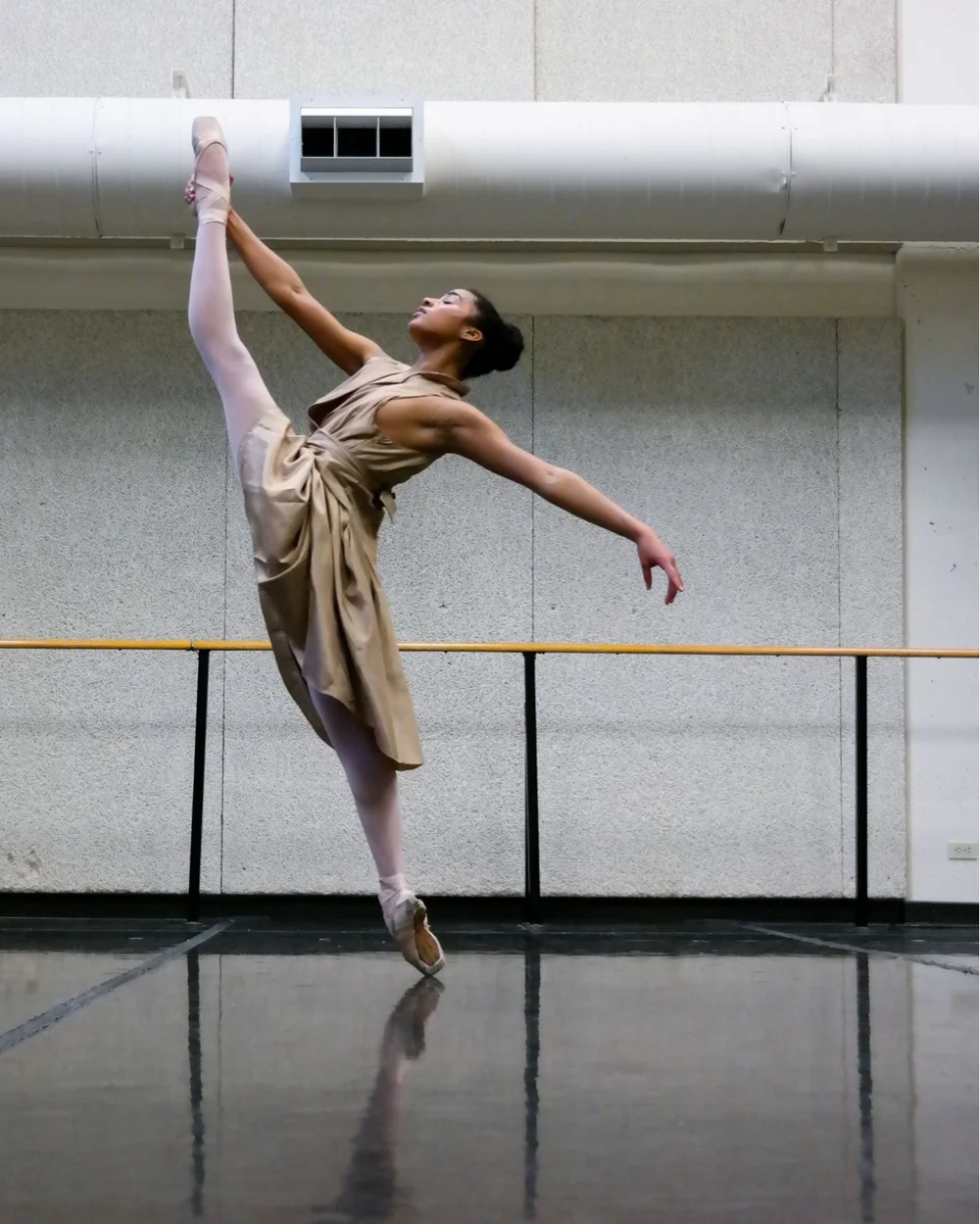 5 to Watch 2017 — Brown Girls Do Ballet®