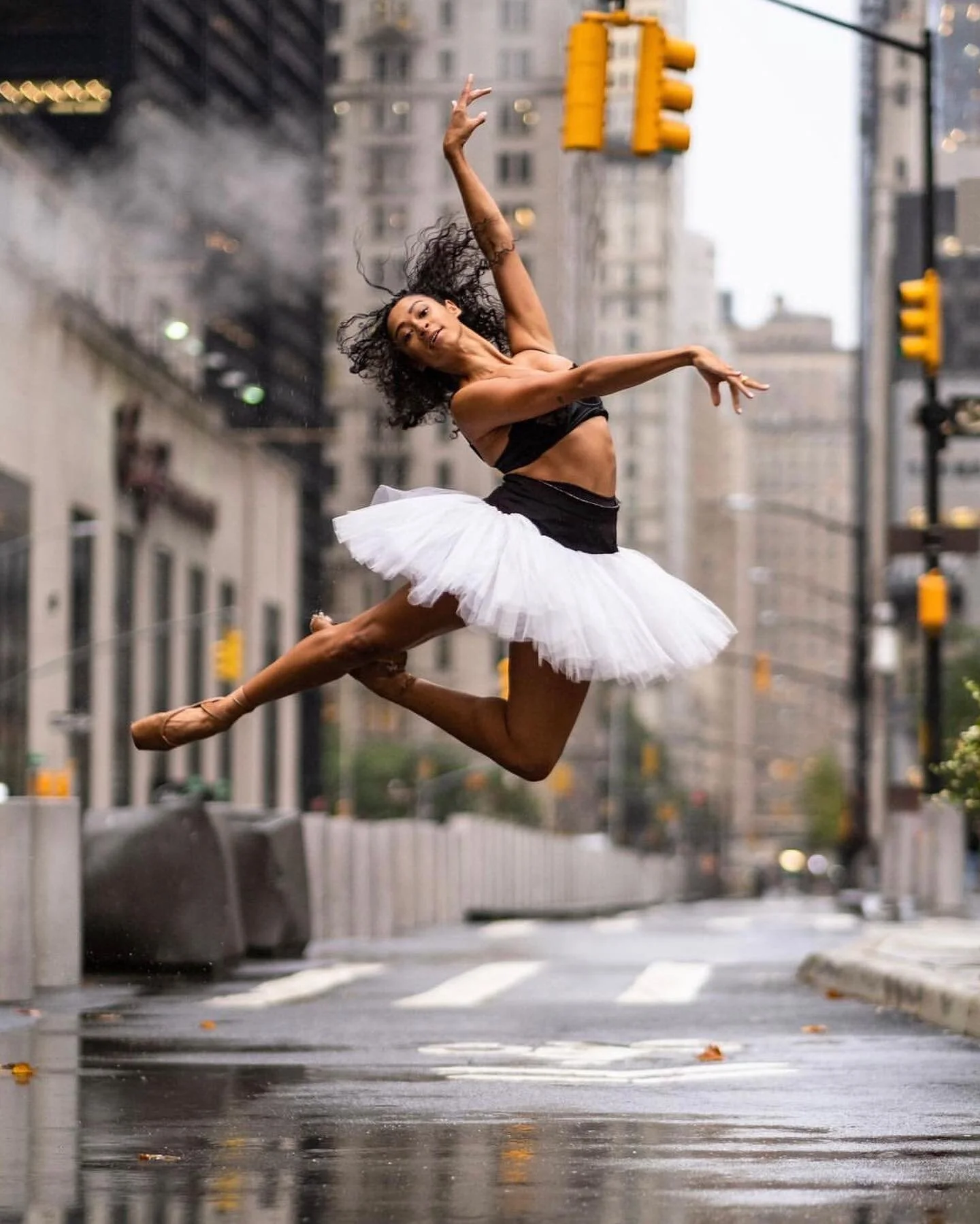 Media/Press — Brown Girls Do Ballet®