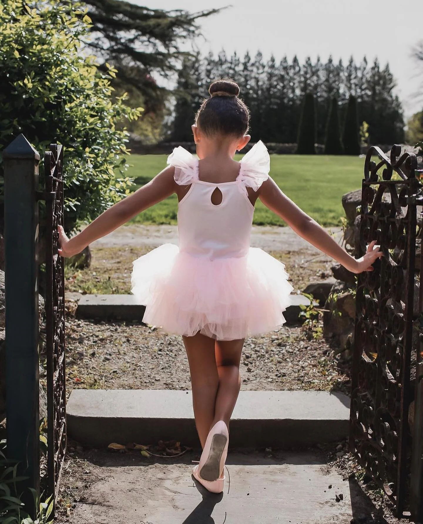 iamballet: Ballet class is in session! — Brown Girls Do Ballet®