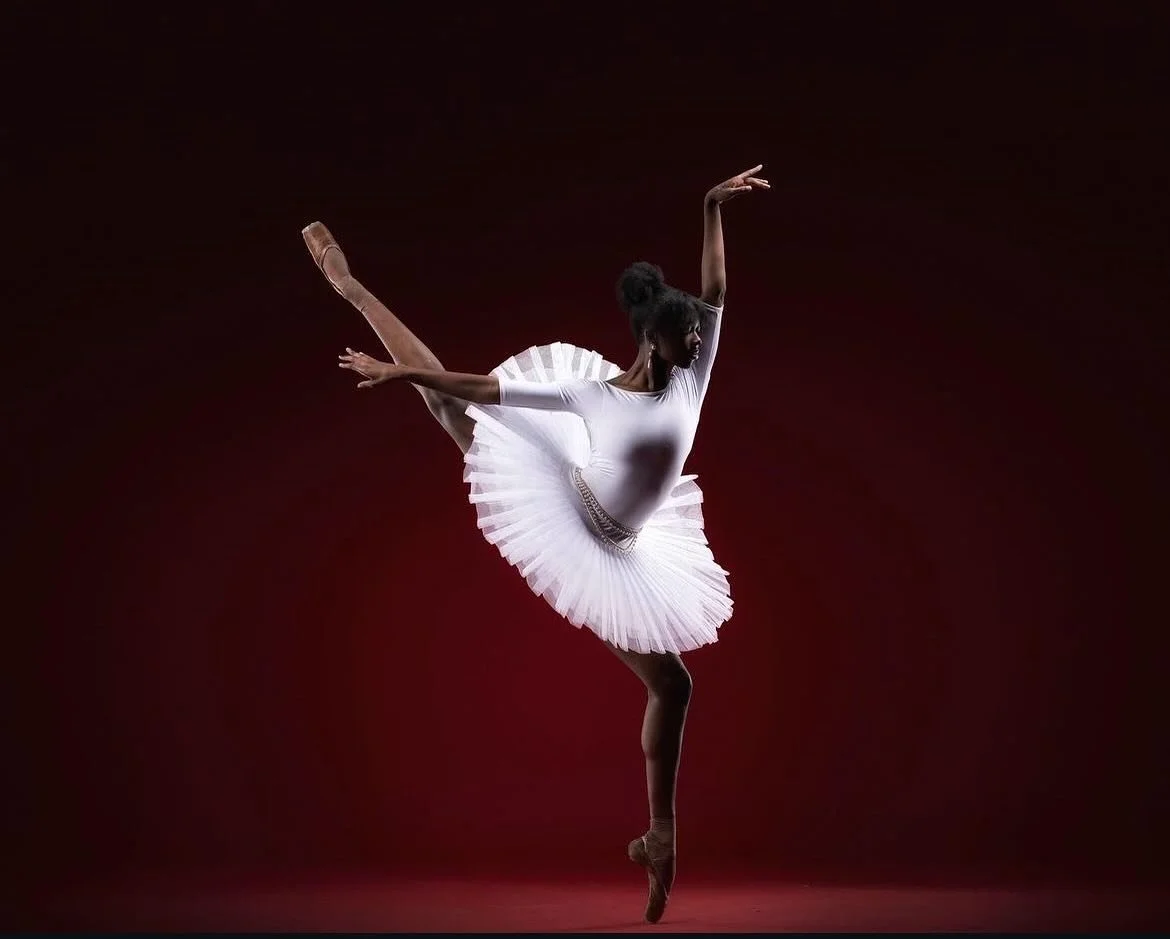 The Great Brown Ballerina Roadtrip — Brown Girls Do Ballet®