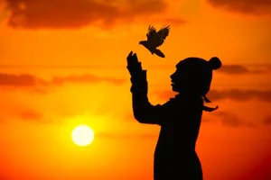 Relational Constellation Institute of California